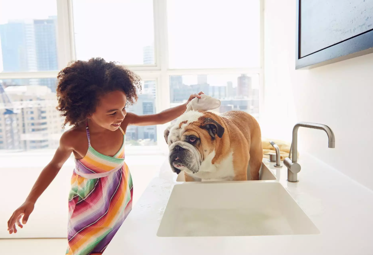 Fact or Fiction: Using a Harsh Dish Soap Kills Fleas | Groomer And ...